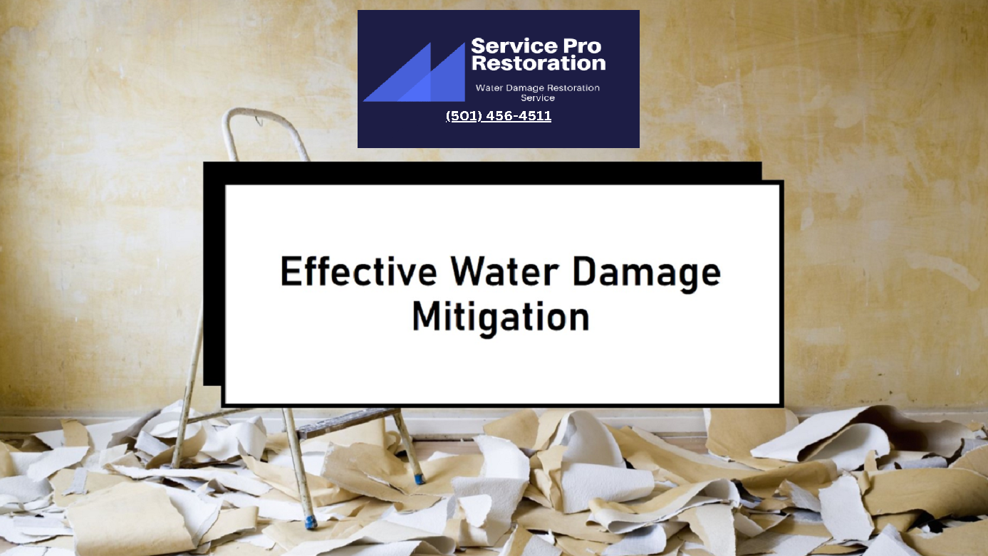 Water Damage Mitigation Company